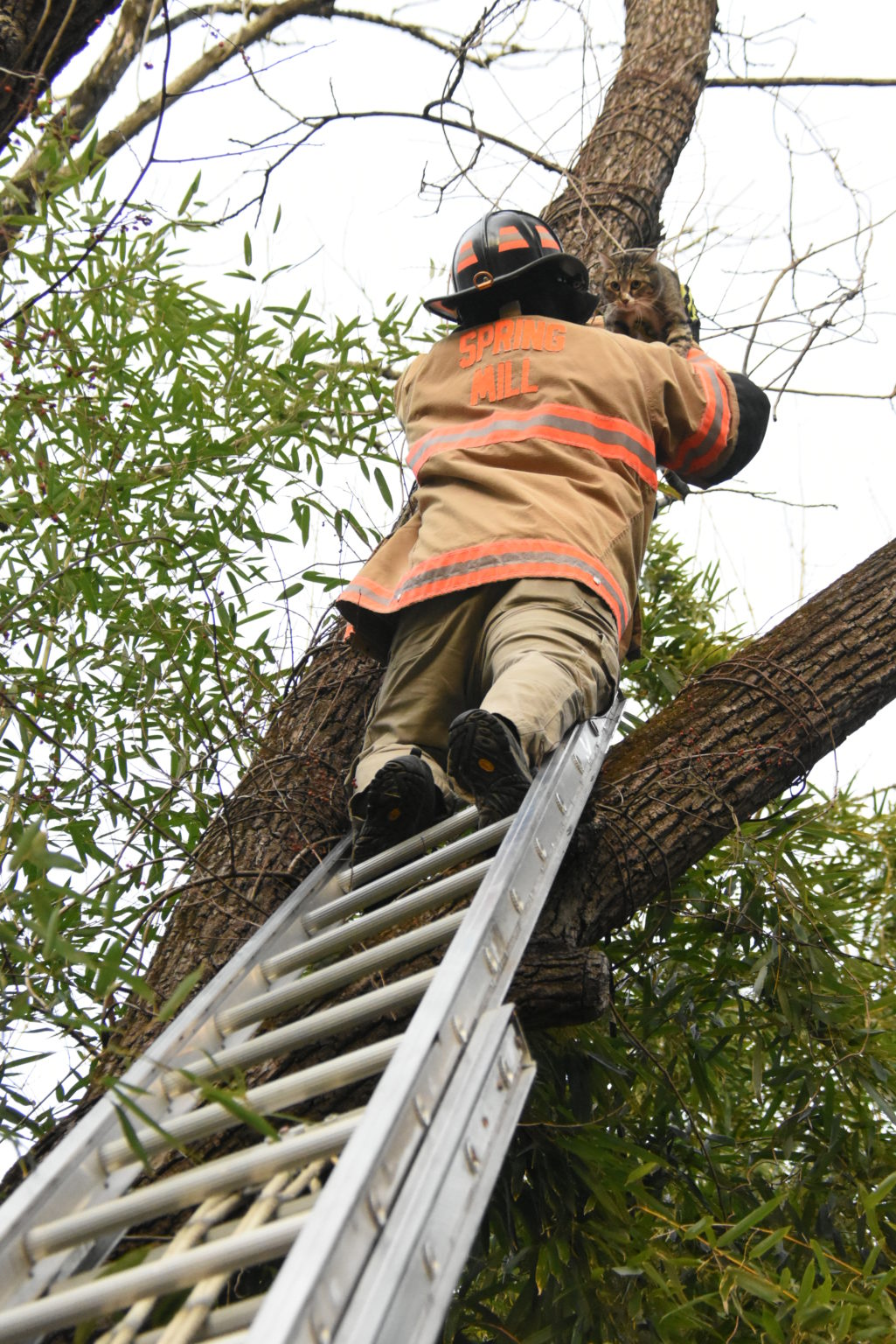 Home - Springmill Fire