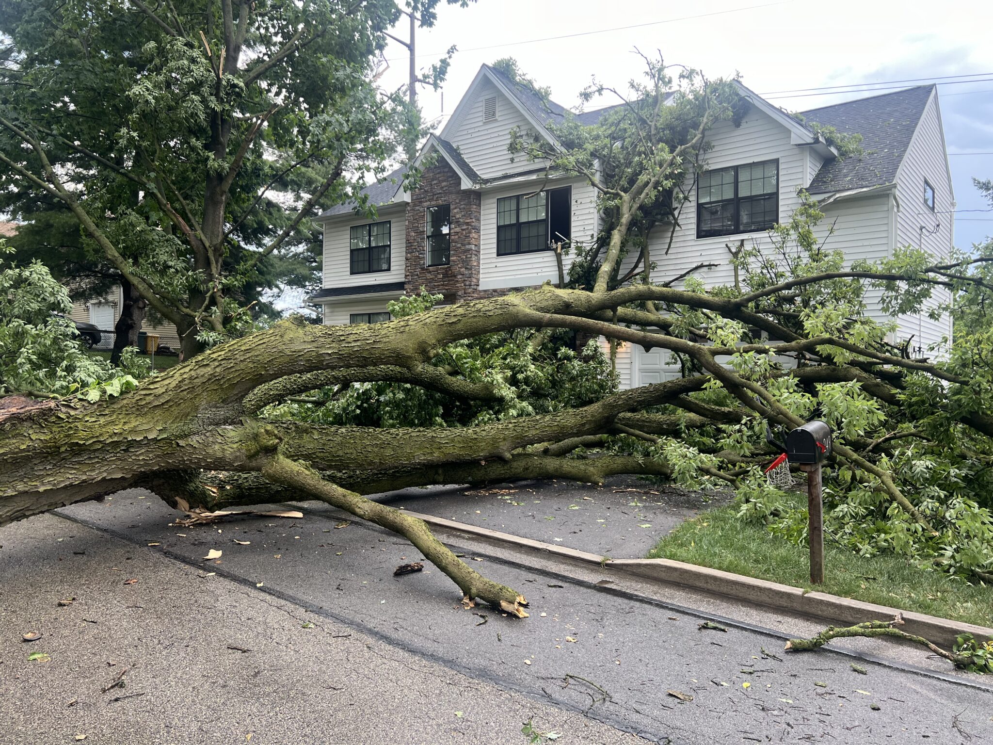 Home - Springmill Fire